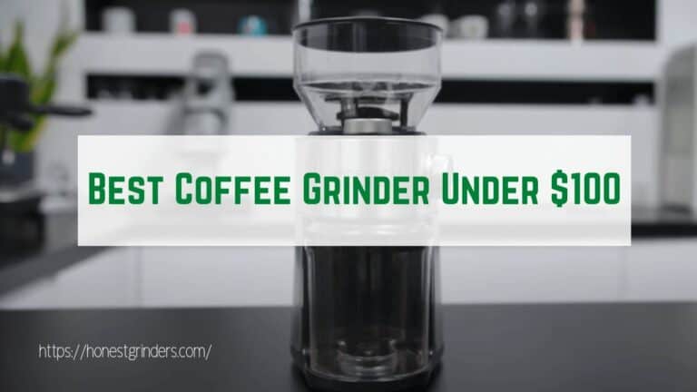 Top 10 Best Fish Chum Grinder 2022 [Reviews & Guide]